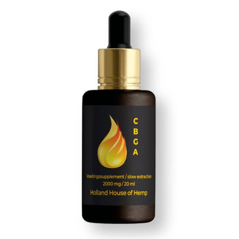 Ontdek CBGA olie: Sterker dan CBD en CBDA olie! - 24Taste.nl